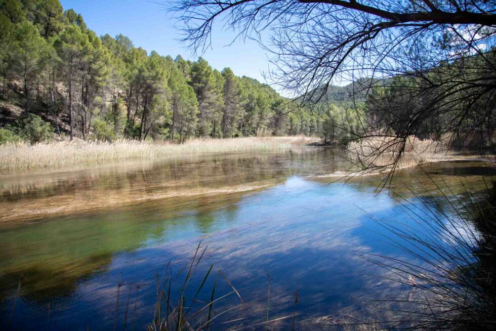 Multiaventura en Valencia: Albergue Contreras | Aktiviti